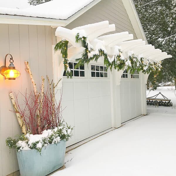 5 FREE WINTER CONTAINER DESIGNS | The Impatient Gardener