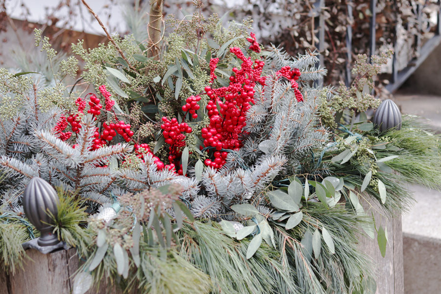 Container designs for the holidays and beyond | The Impatient Gardener