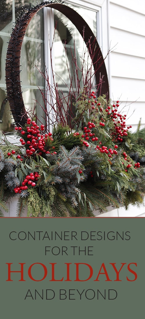 Container designs for the holidays and beyond | The Impatient Gardener