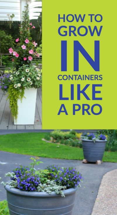 5 tips to grow in containers like a pro | The Impatient Gardener