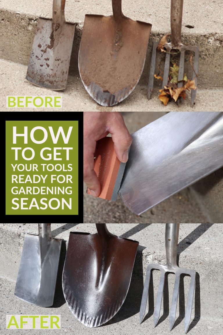 How to get your tools ready for gardening season | The Impatient Gardener