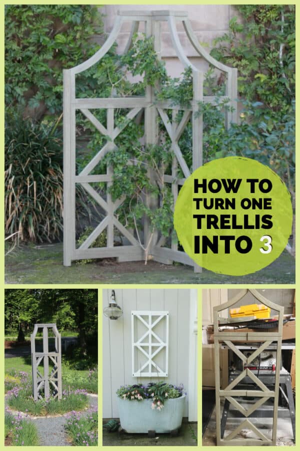 A trellis magic trick: Turn one into three | The Impatient Gardener