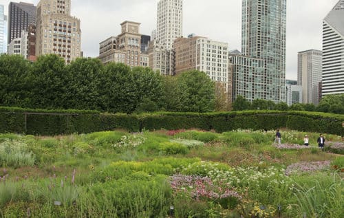 High summer inspiration at the Lurie Garden | The Impatient Gardener