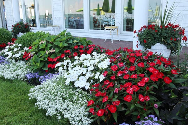 The island of colorful gardens | The Impatient Gardener