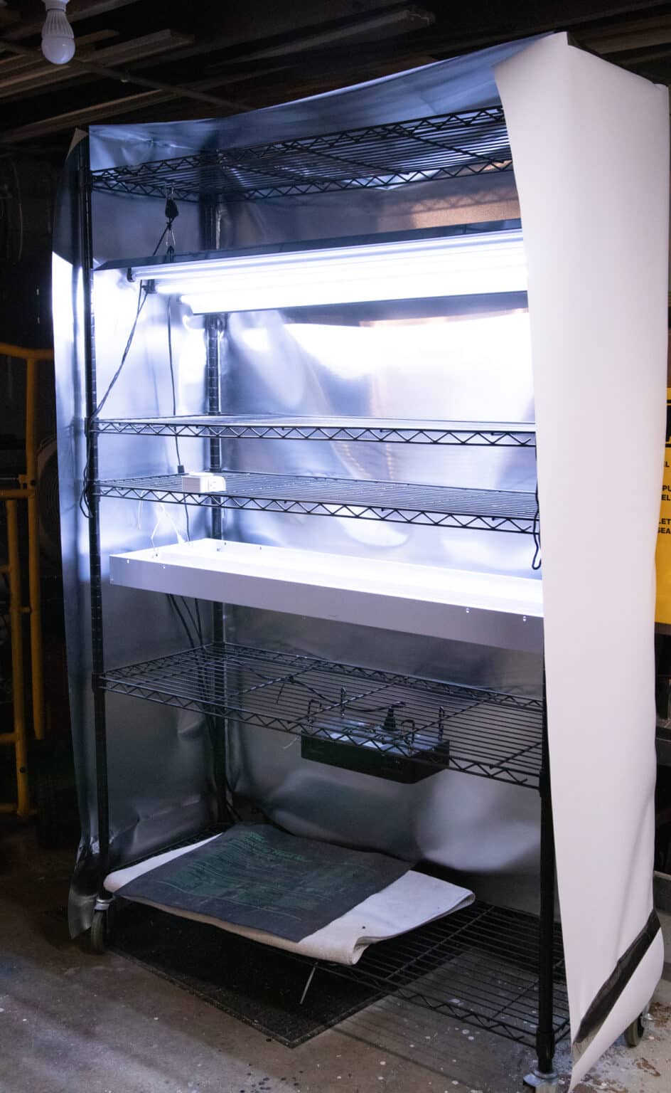 How to grow hundreds of plants from seed | The Impatient Gardener