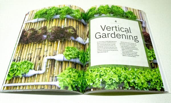 Book review: Urban or not, this book helps you garden better | The ...