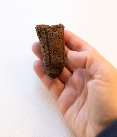 How to start a whole garden in one tray | The Impatient Gardener